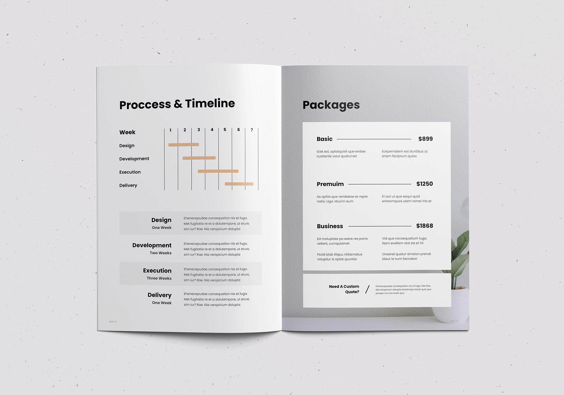 Proposal Template | 16 Custom Pages | A4 & US Letter Size | Indesign ...