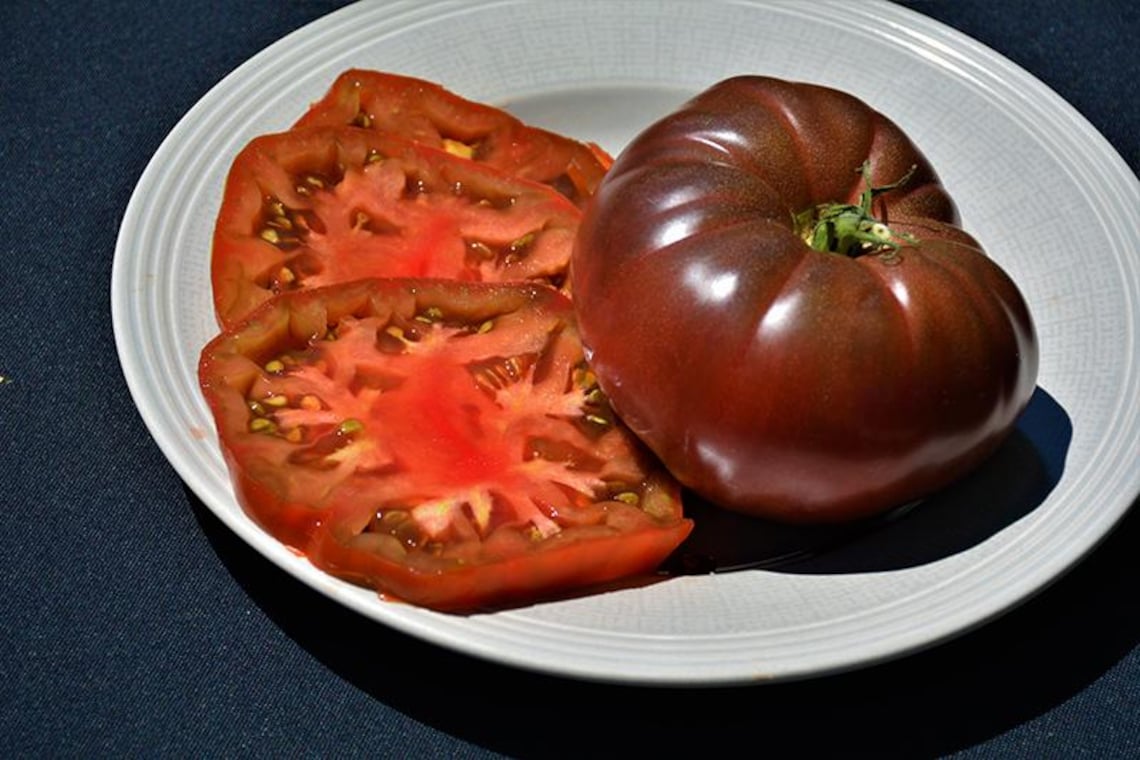 Tomate roxo Cherokee, 5 sementes, tomates orgânicos tradicionais ...