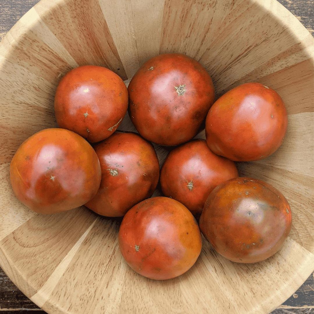 Japanese Trifele Black Tomato 5 Seeds, Heirloom Home Gardening Tomatoes ...