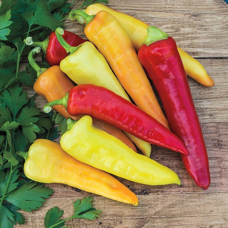 Capsicum Annuum Sweet Banana HEIRLOOM BANANA PEPPER Vegetable - 50 ...