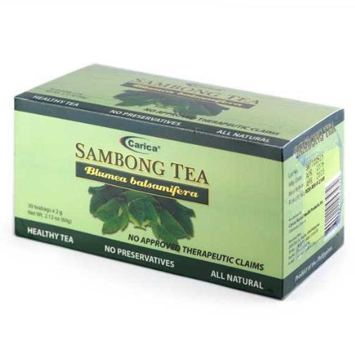 Blumea Balsamifera Aromatria Herb - Sembung Balm Sambong Aromatic - 10 ...