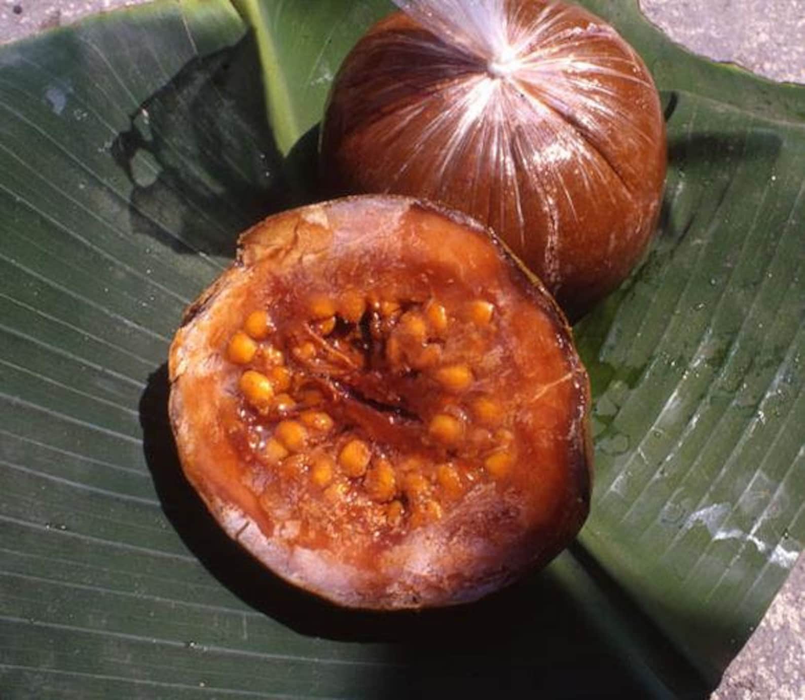 Alibertia Patinoi Borojoa Patinoi Borojó Head-fruit | Etsy