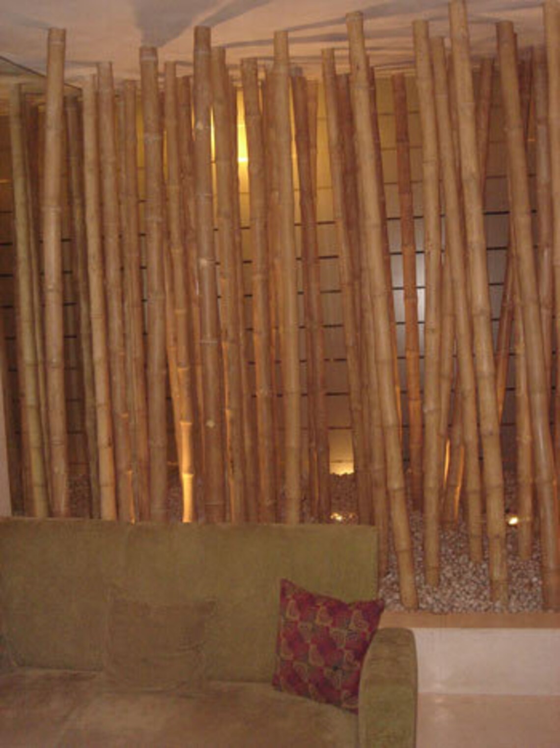 Bambusa Bambos Bambusa Arundinacea Giant Bamboo 80 Seeds | Etsy