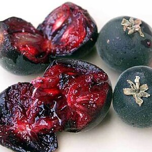 Dovyalis Hebecarpa, Ceylon-barbed Berry, CEYLON GOOSEBERRY, 15 Seeds ...