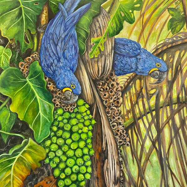Macaw Painting Original - Etsy
