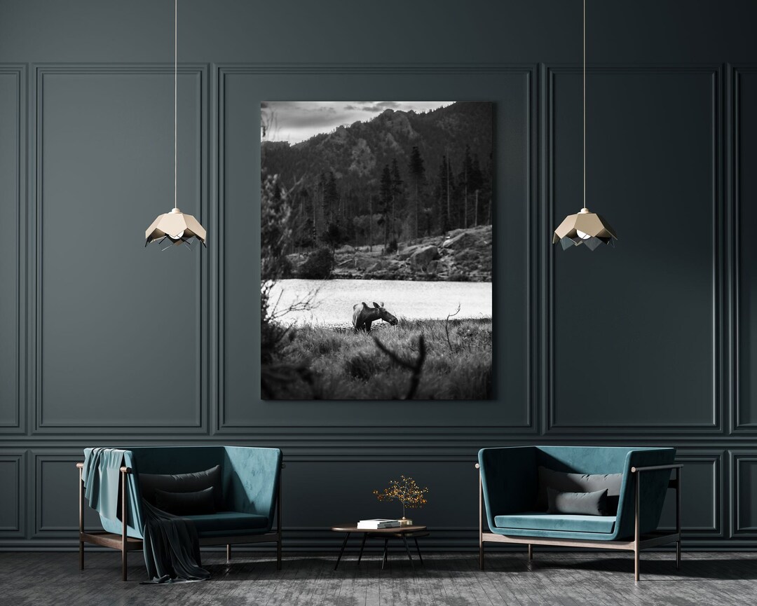 Rocky Mountain National Park Moose Print, RMNP Wall Art, Mountain Wall ...