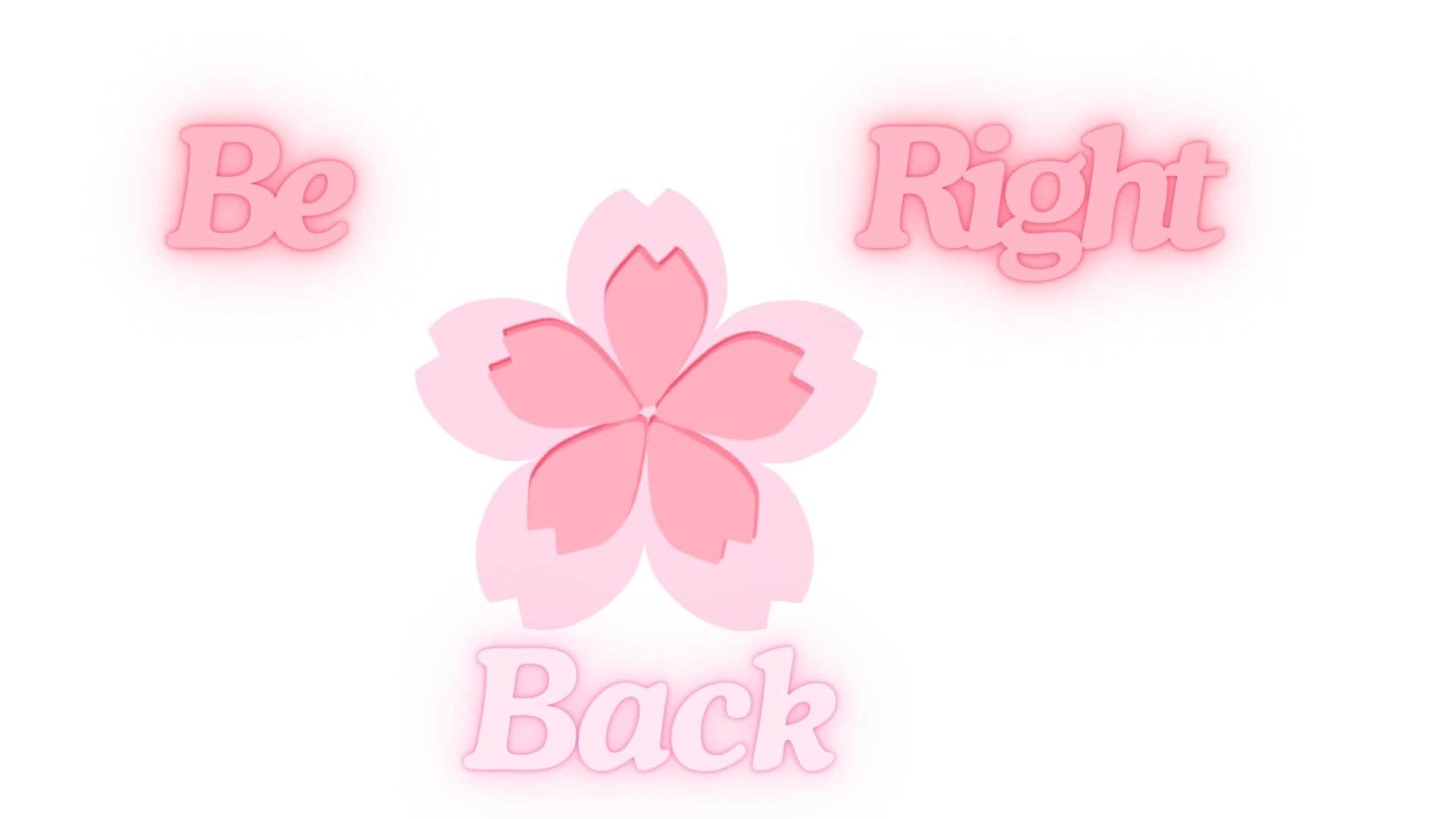 Looping Spinning Pink Flower Sakura Be Right Back Animated Overlay ...
