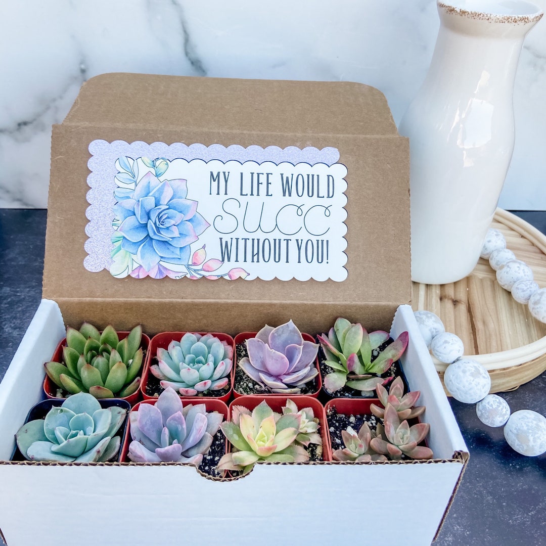 Succulent Mothers Day Gift Box Custom Personalized Card 8 Live ...