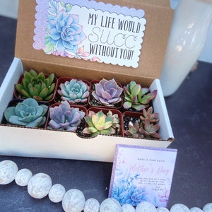 Succulent Mothers Day Gift Box Custom Personalized Card 8 Live ...