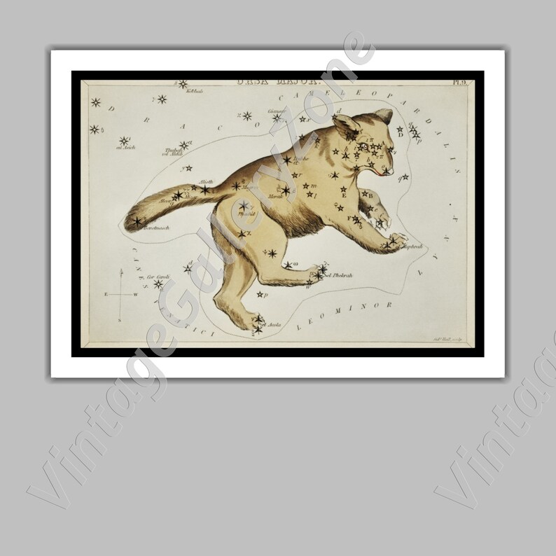 Ursa Major. Astronomical Antique chart illustration the - Etsy.de