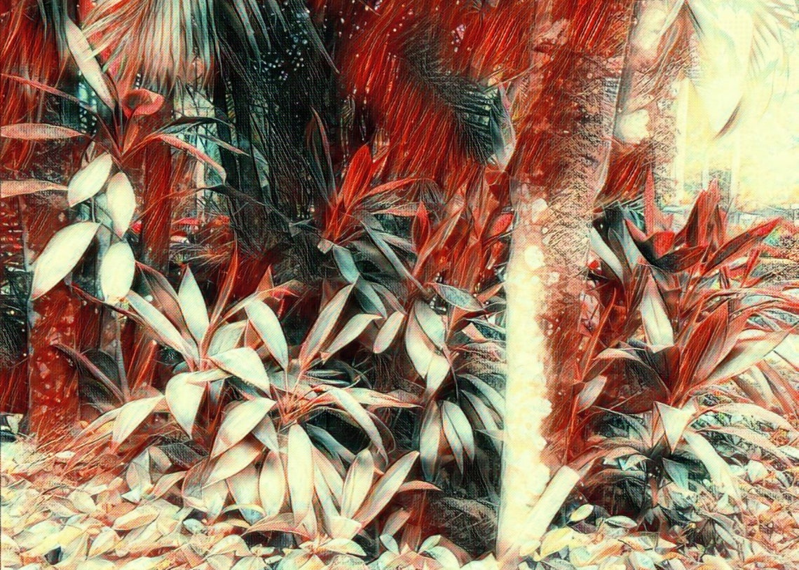 Island Floral Flower Painting Caribbean Coastal Digital Download - Etsy