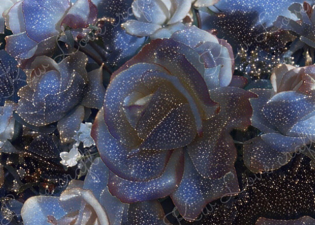 Set of 3 Starry Night Rose Flowers Sparkle Blue Night Art - Etsy