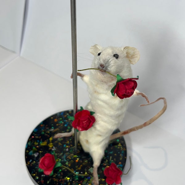 Taxidermy Mice Stripper Pole - Etsy UK