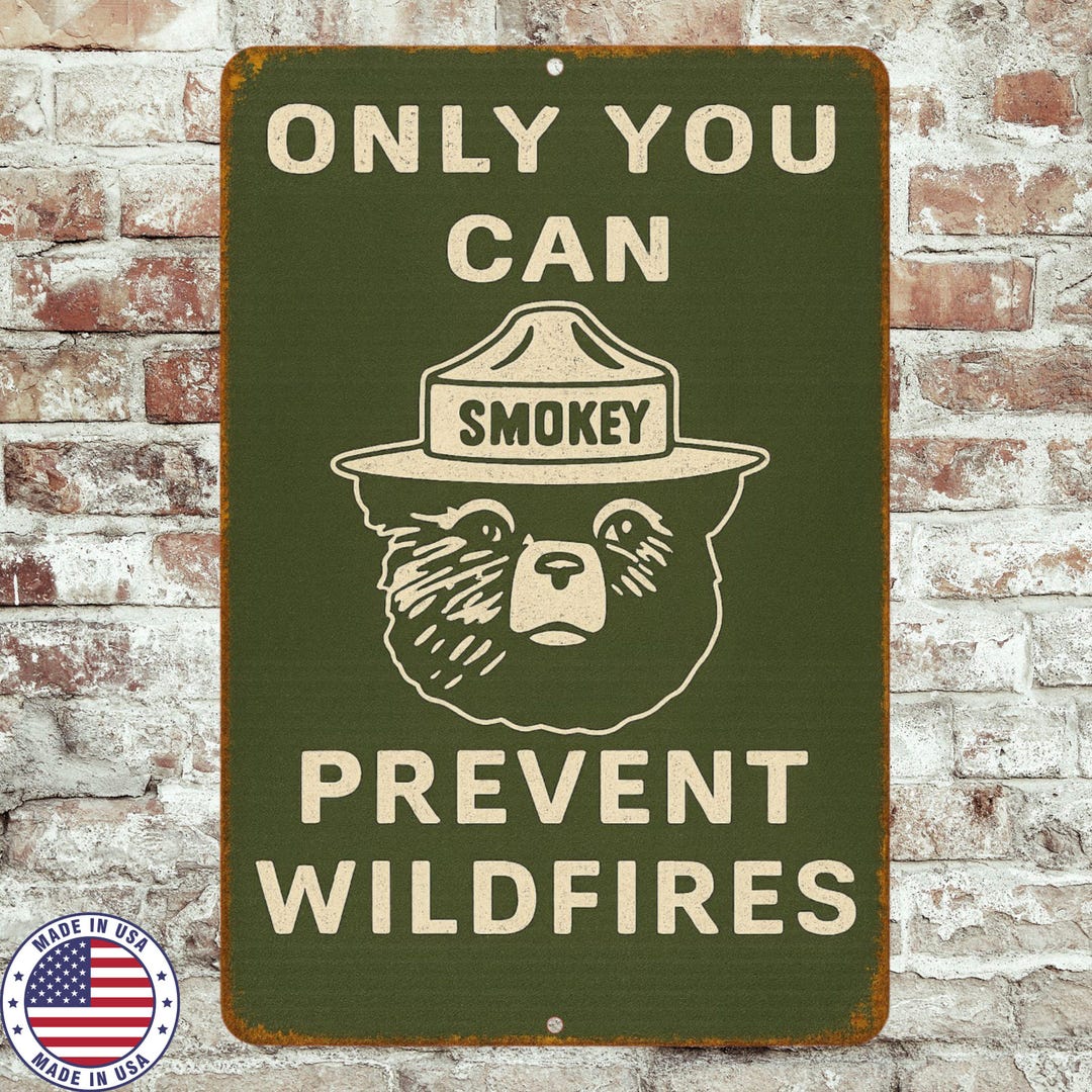 Smokey Bear Wildfire Prevention Sign – 8x12 Vintage Forest Safety Metal ...