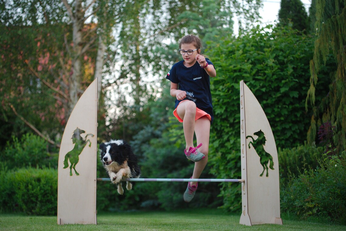 Obstacle Hobby Horse Agility Hobbyhorse Jump Jumps Garden | Etsy