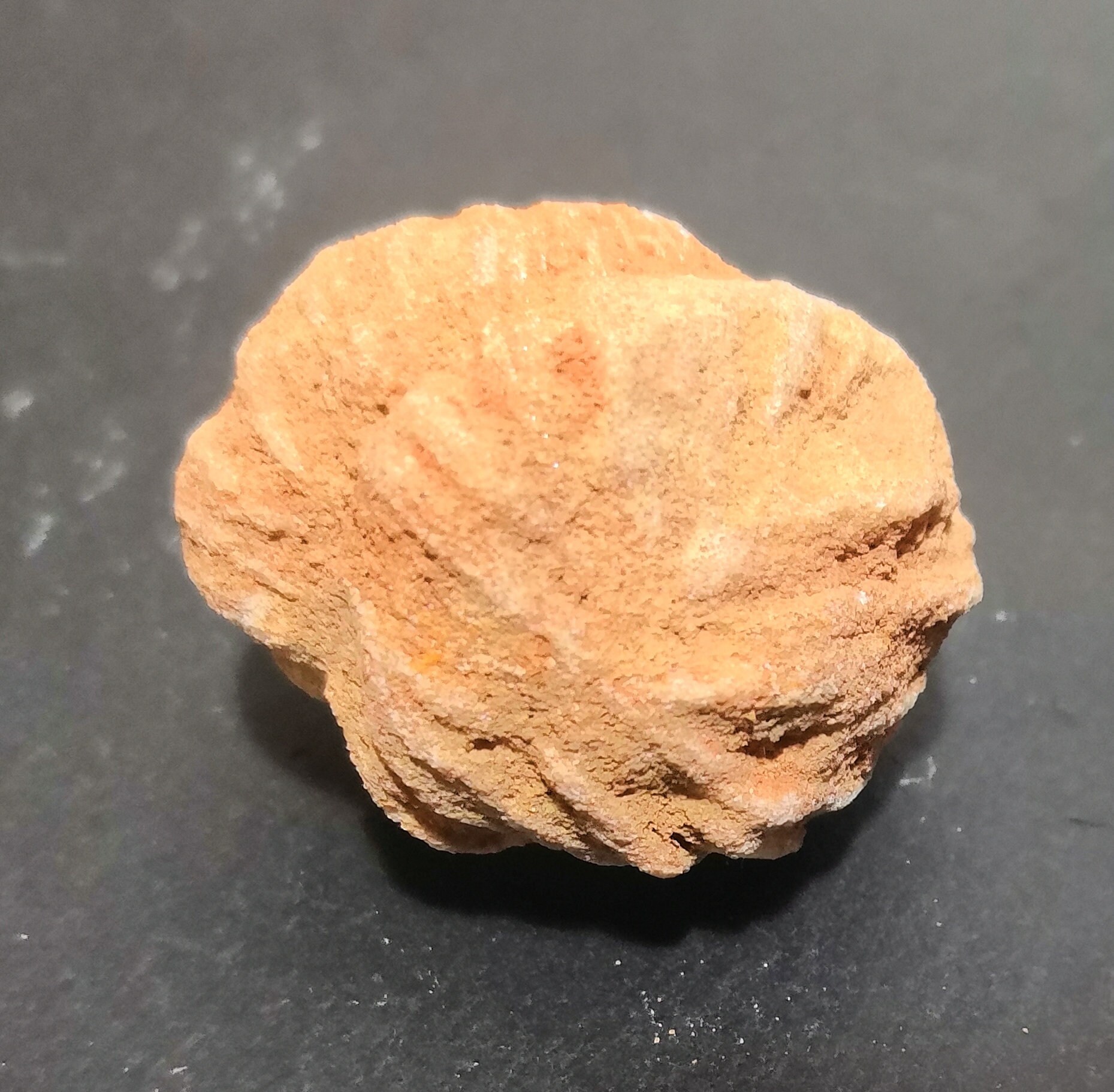 Natural Desert Rose Stone Raw Desert Rose Crystal Healing Crystals and ...