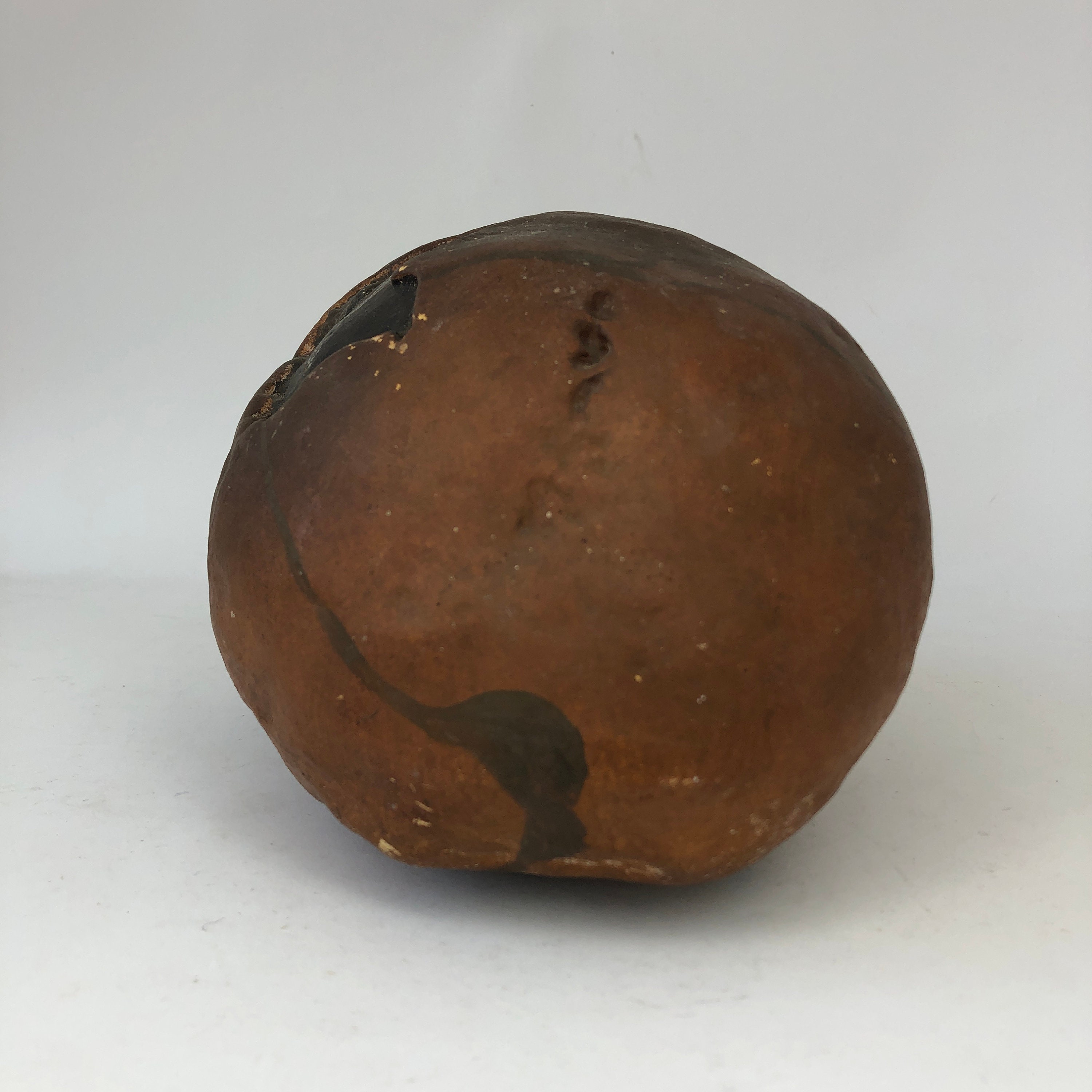 Vintage Skull Model Neanderthal Skull Replica Study Guide - Etsy