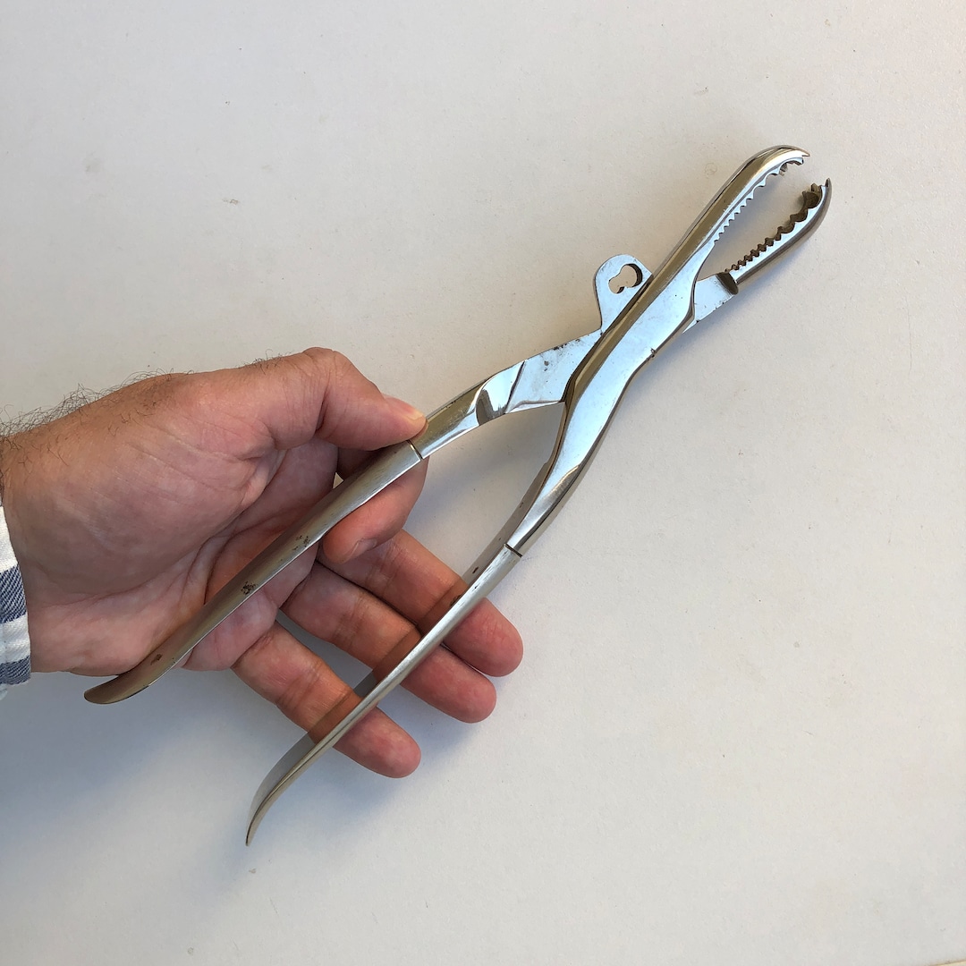 Vintage Medical Instrument, Surgical Clamp, Bone Holding Forceps ...