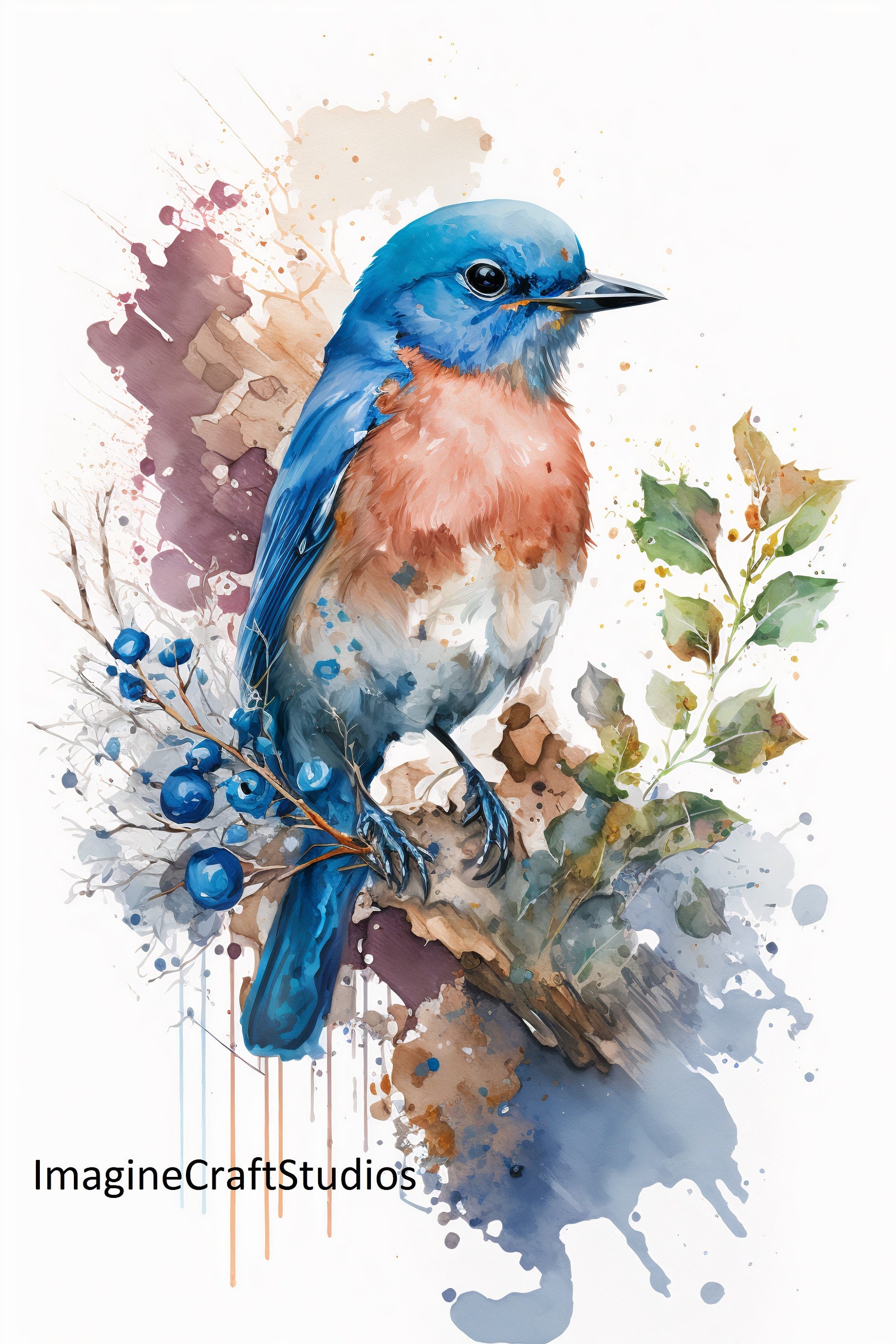 Eastern Bluebird Wallpaper