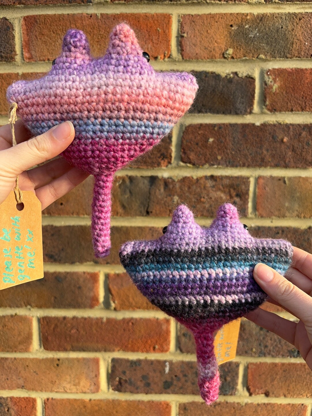 Pink Manta Ray Super Cute Lovely Rays One of a Kind - Etsy