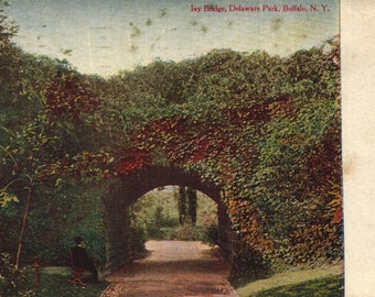 Buffalo Postcard - Etsy