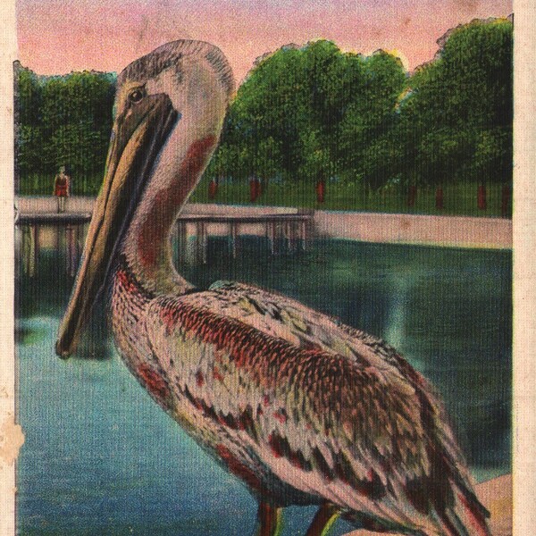 Postcard 1920s - Etsy