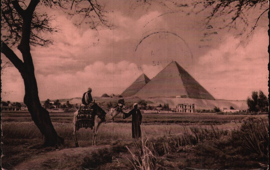 Vintage Real Photo Postcard the Pyramids of Giza Cairo Egypt 1950s ...