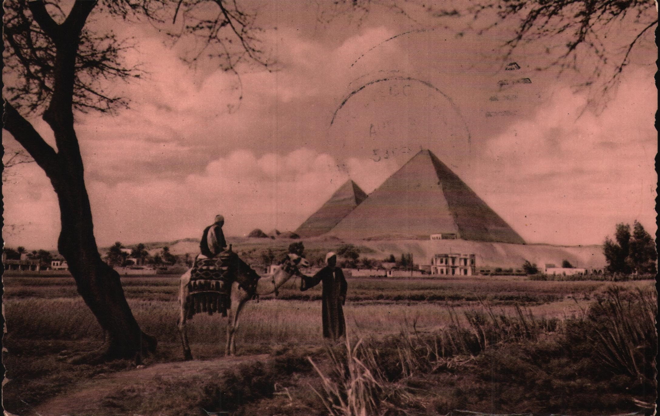 Vintage Real Photo Postcard the Pyramids of Giza Cairo Egypt 1950s ...