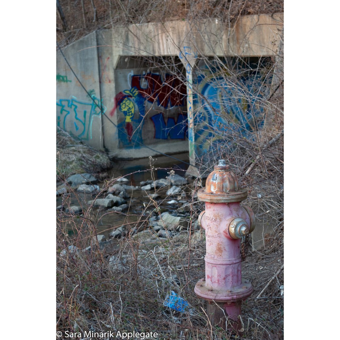 Instant Digital Download Color Photo middle of Nowhere Worn Down Fire ...