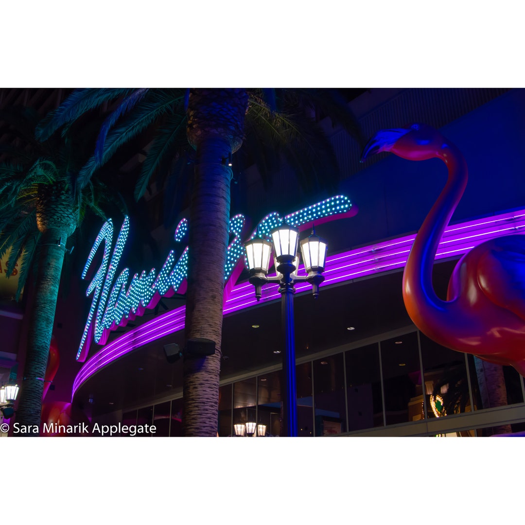 Instant Digital Download Color Photo flamingo Neon Lights on the Strip ...