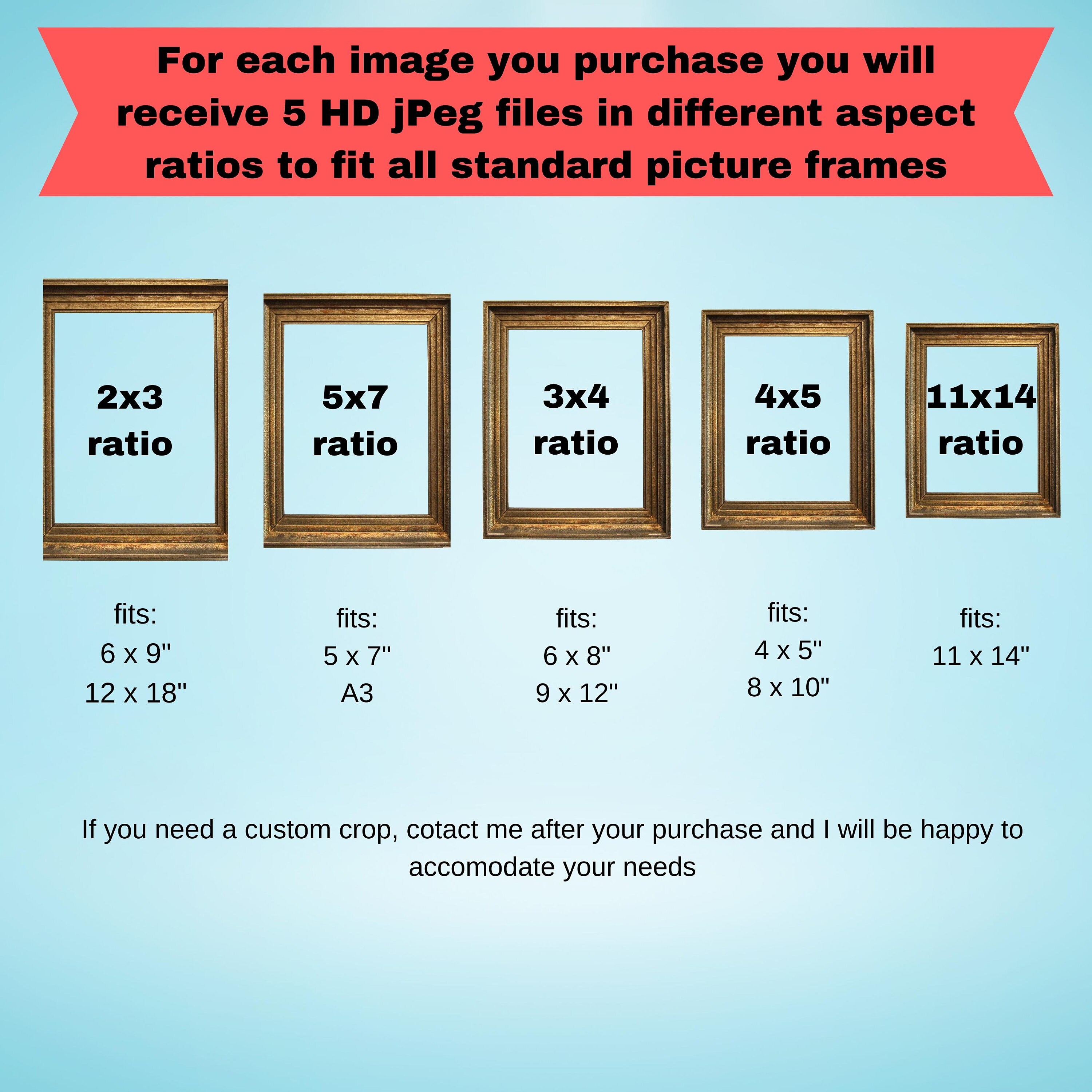 Instant Digital Download Color Photo "sahn and Arcade" Beautiful Mosque in Cairo, Egypt Under ...