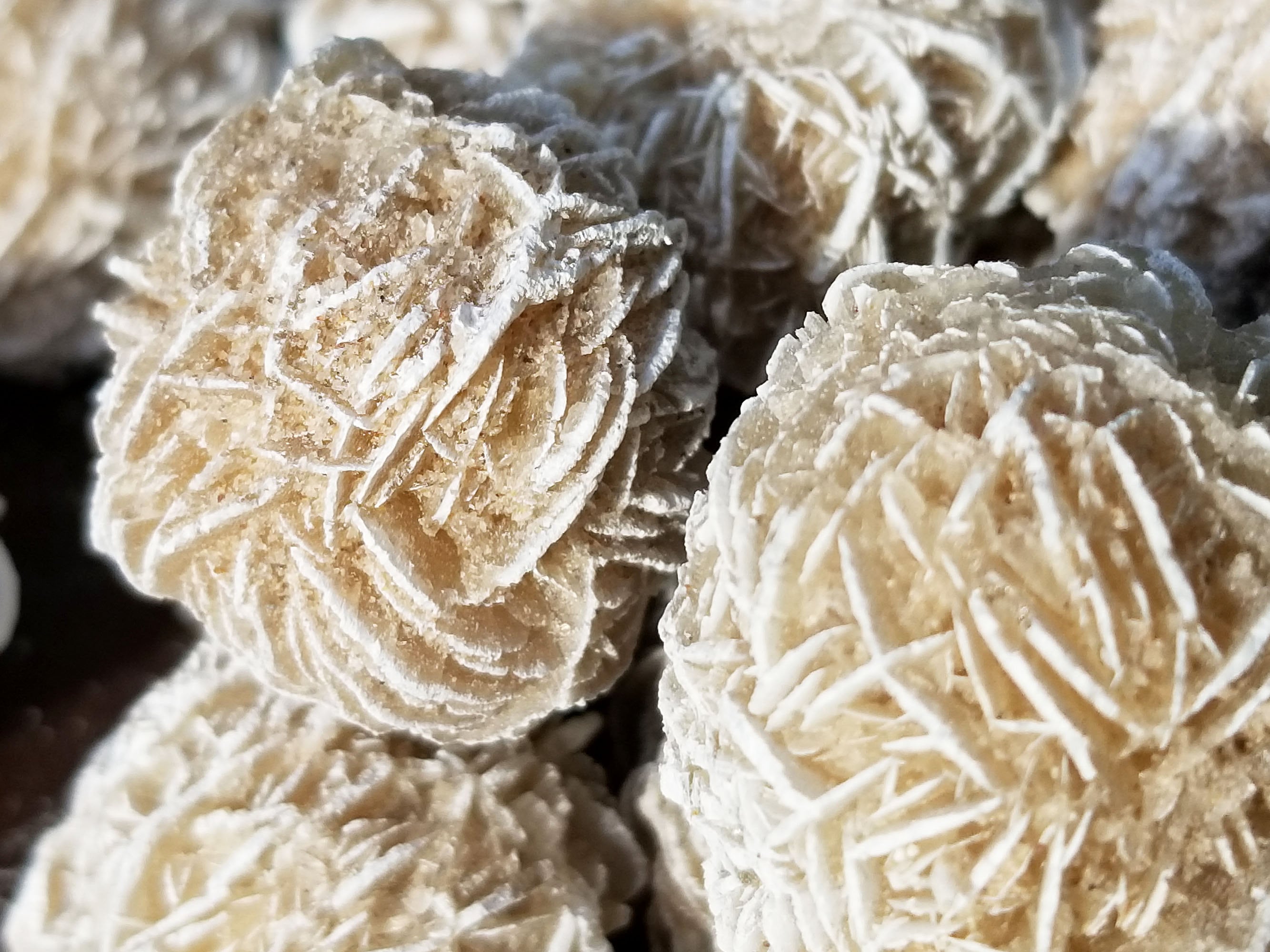 Desert Rose Selenite Crystal Rough Selenite Rosette Healing | Etsy