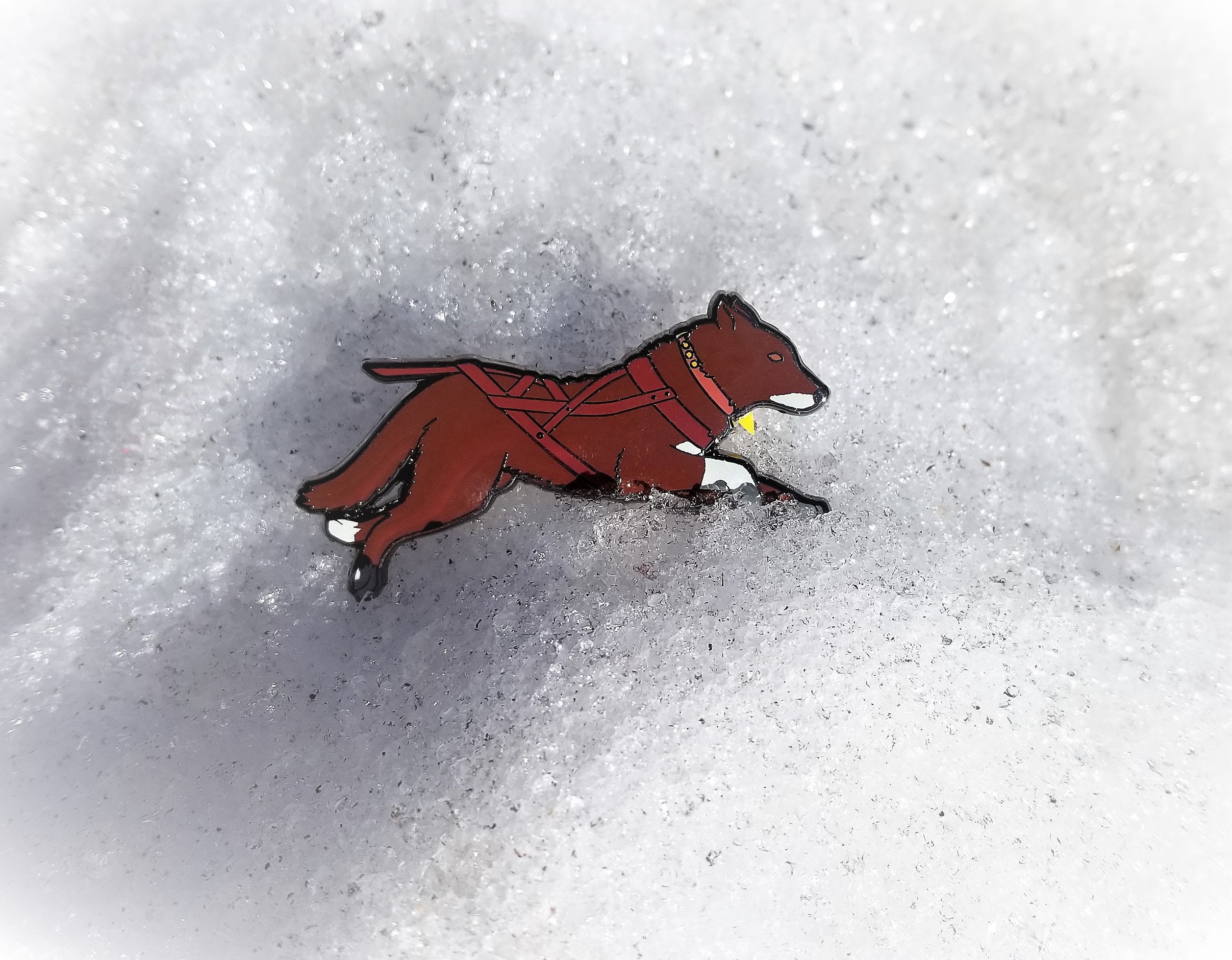 Famous Iditarod Sled Dog Balto