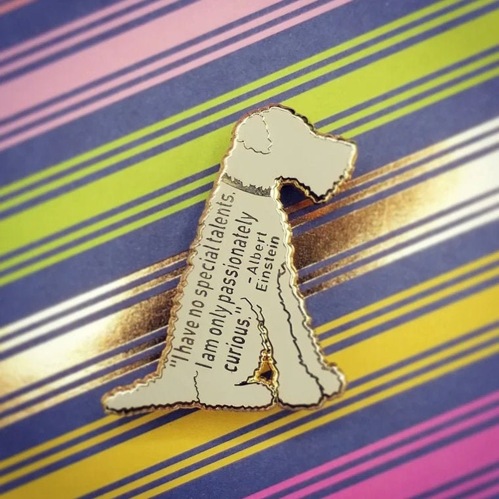 Albert Einstein's Dog Chico Pin art Pet Quote Famous - Etsy