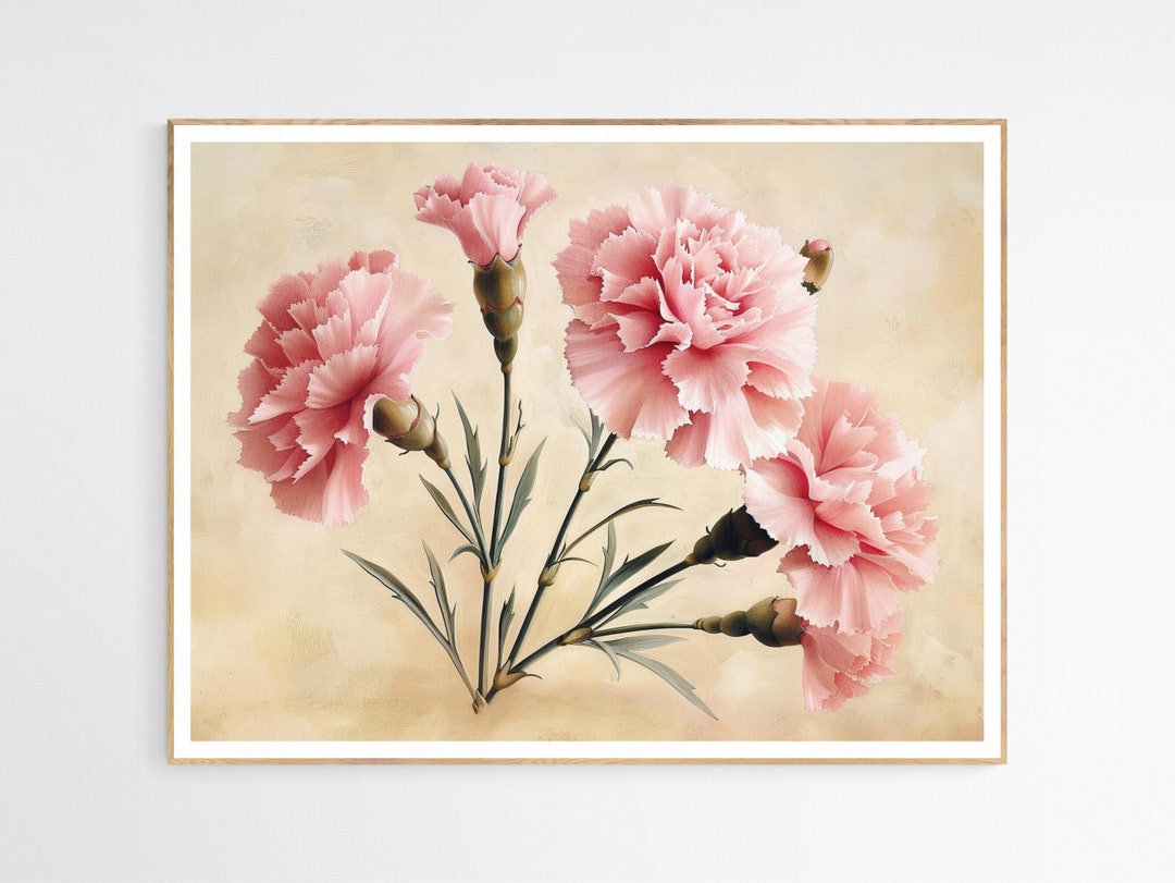 Pretty in Pink Vintage Carnation Flowers Art Print | Vintage Botanical ...