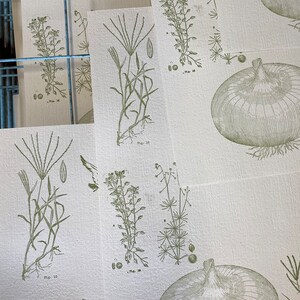 The Honorable Harvest • Letterpress Printed by Hand • 12in X 18in Print ...