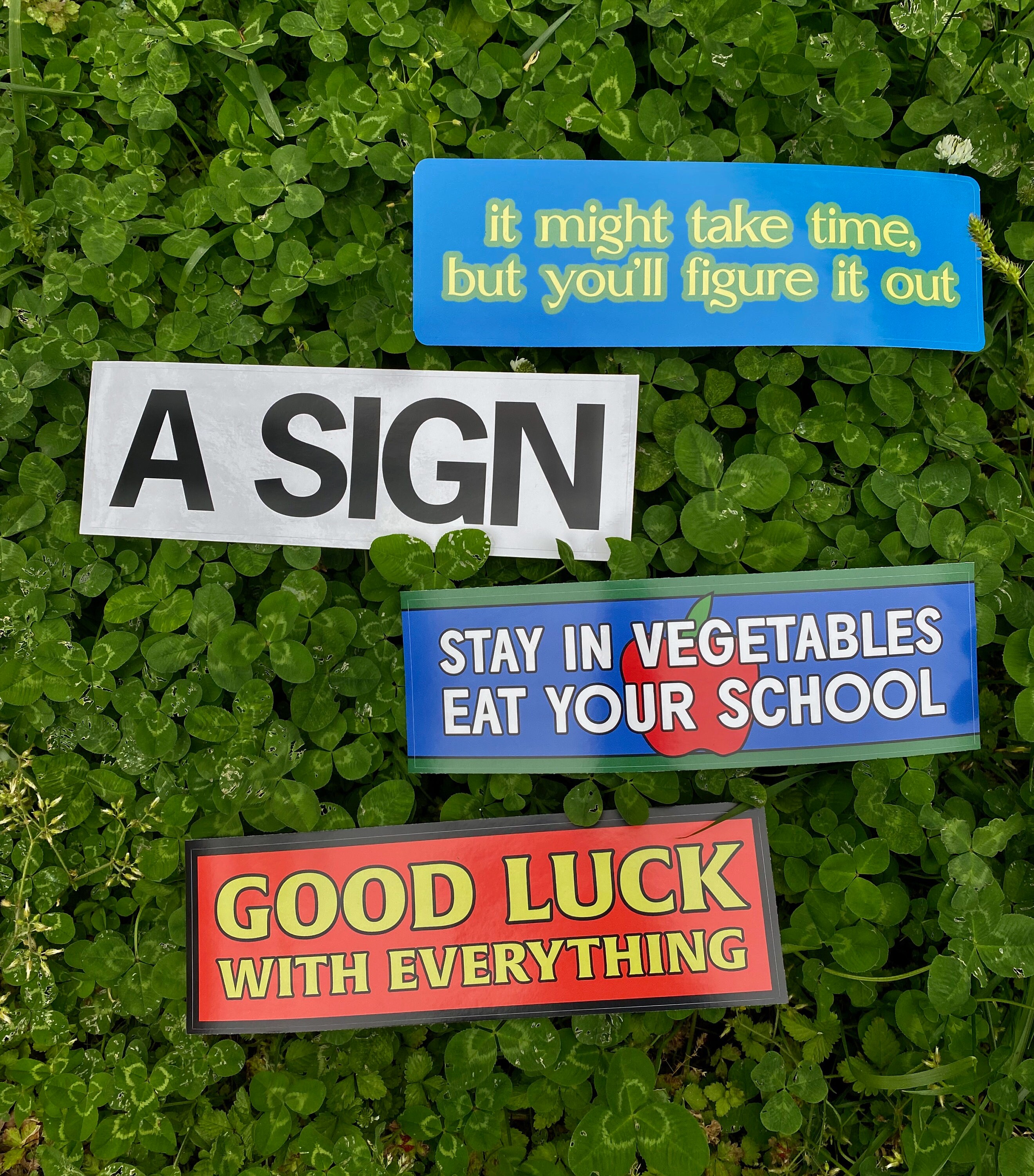 Stay in Vegetables Eat Your School – bumper Sticker Car Decal 3x10 - Etsy