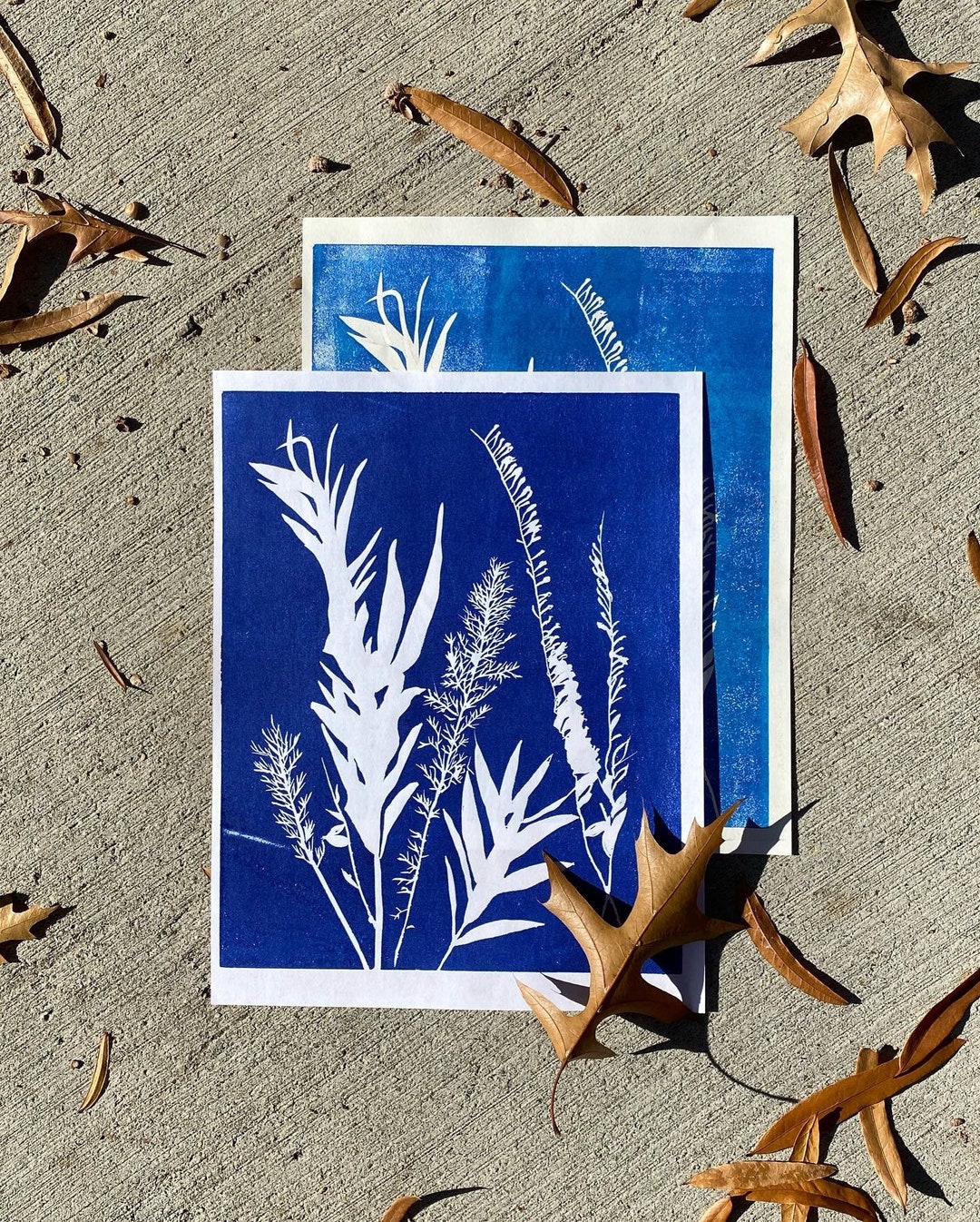 Native Plant Photographic Linocut Print • Cyanotype • Letterpress ...
