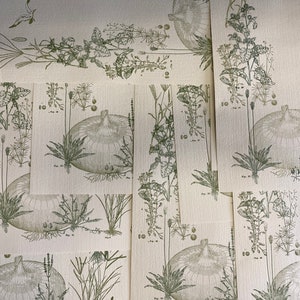 The Honorable Harvest • Letterpress Printed by Hand • 12in X 18in Print ...