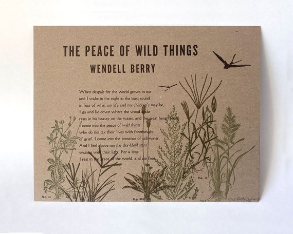 The Peace of Wild Things wendell Berry Poem Giclee Edition - Etsy