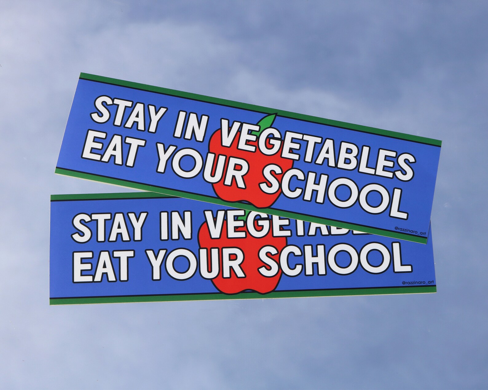 Stay in Vegetables Eat Your School – bumper Sticker Car Decal 3x10 - Etsy