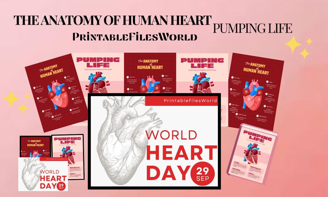 Anatomy of the Heart Science Poster in Red Pink Hand Drawn Style - Etsy