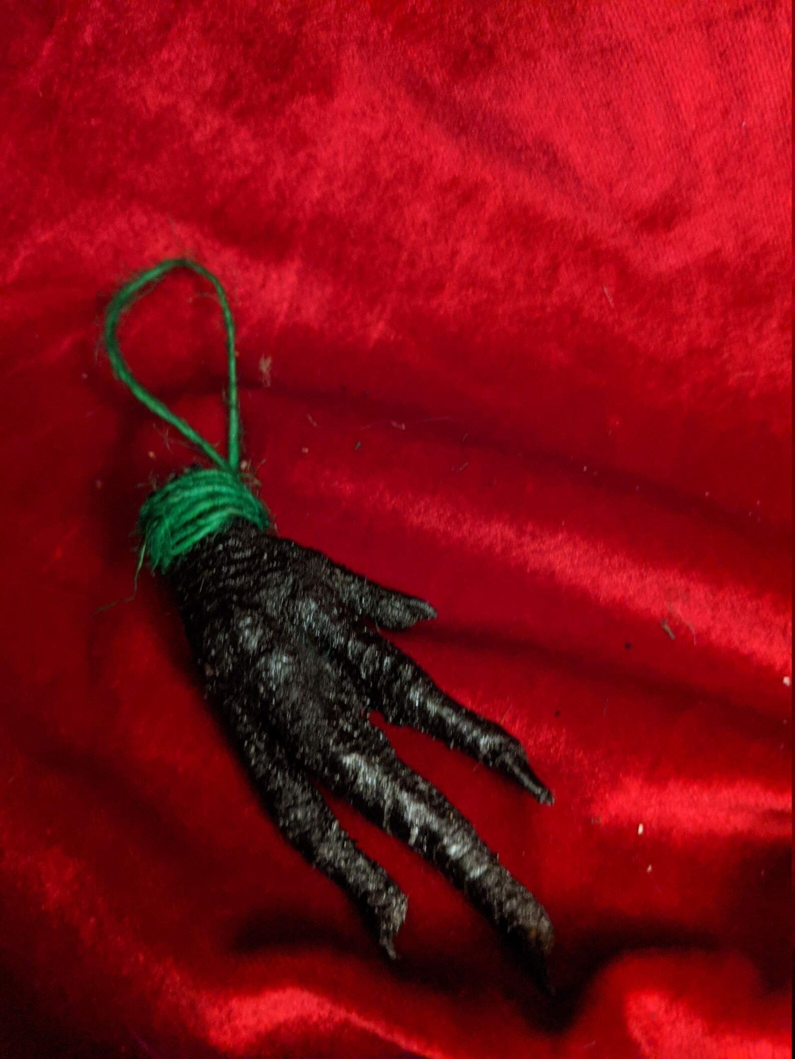 Hoodoo Protection Chicken Foot - Buy One Get One Free. Choose Color - Etsy