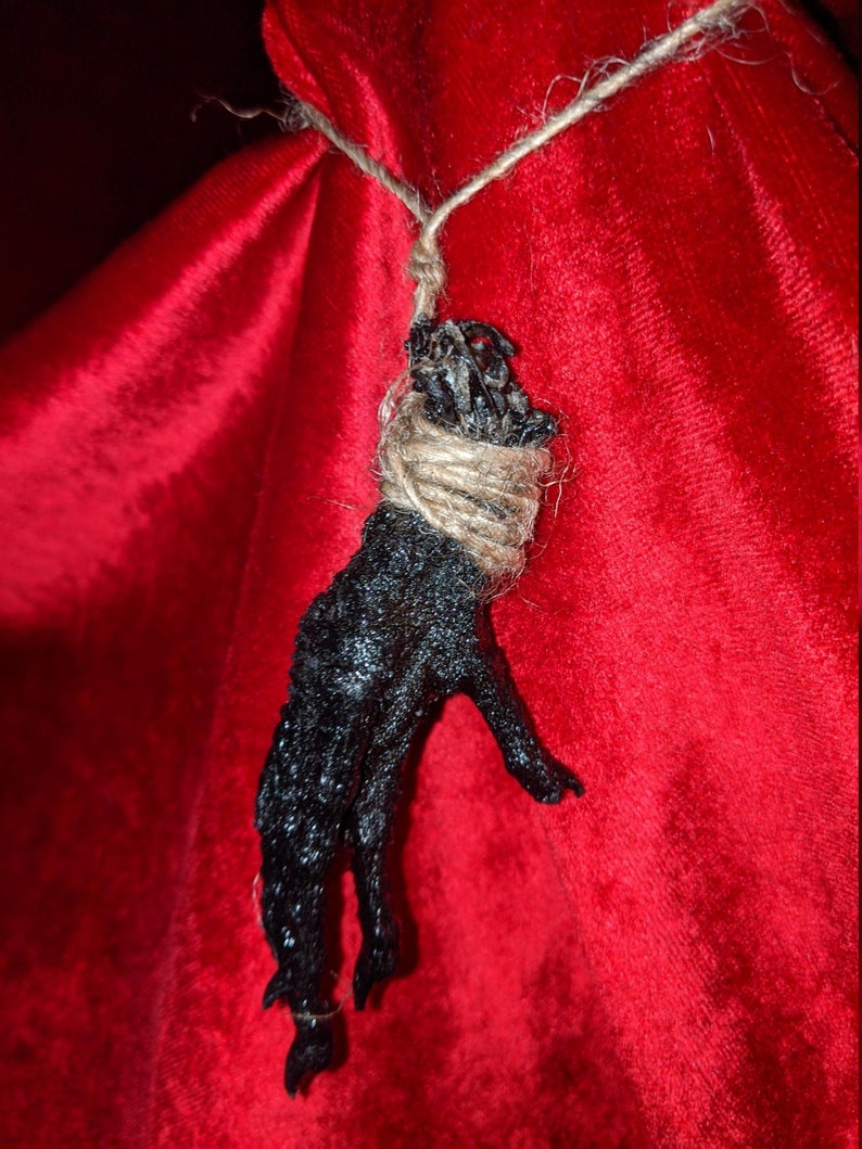 Hoodoo Protection Chicken Foot Talisman 7 COLORS Buy One Get | Etsy