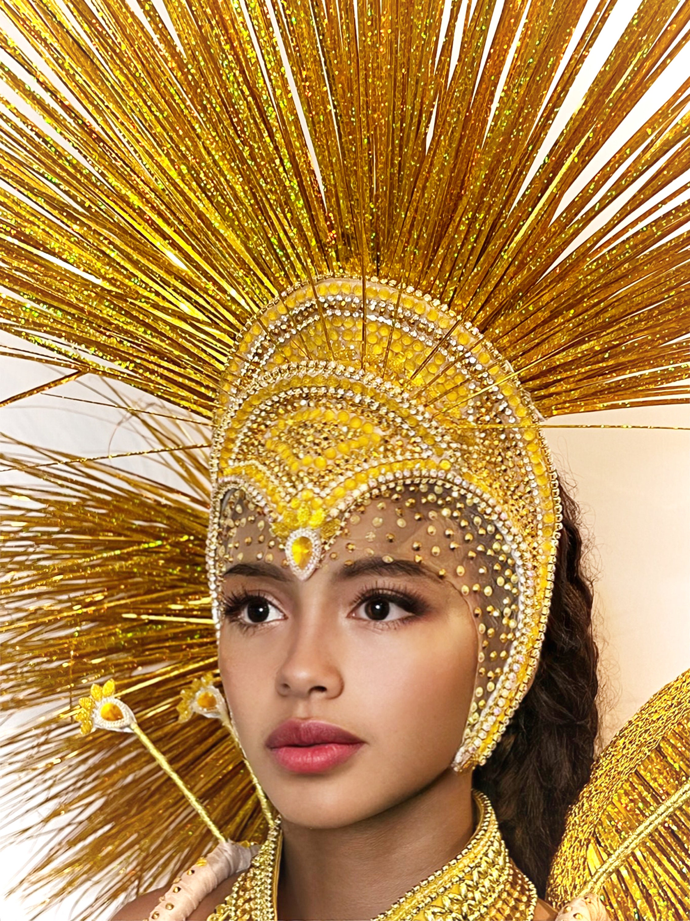 High Quality Samba Cabaret Frame Headdress Armature Headdress Filaments ...