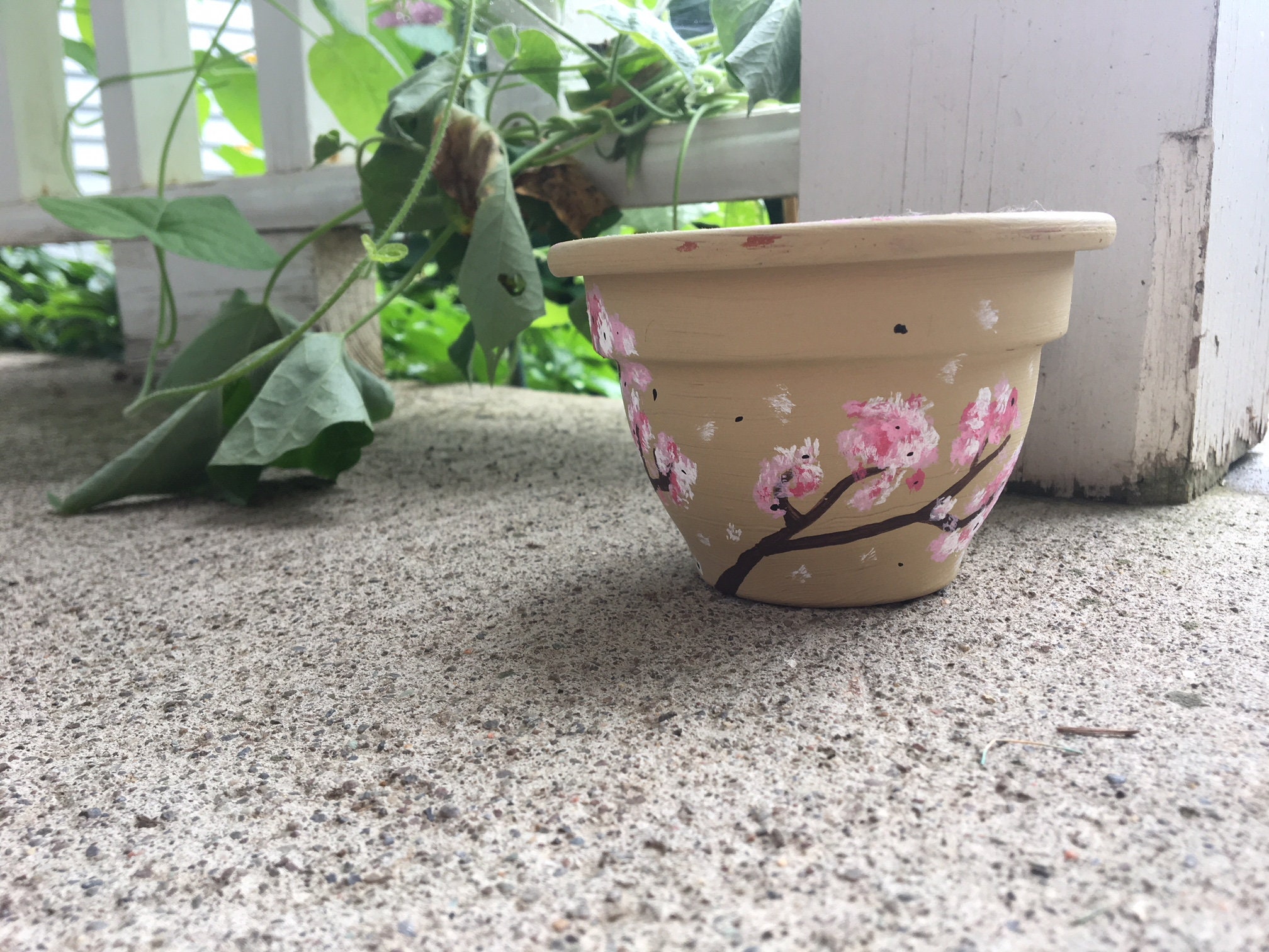 4.5” Hand-painted Flower Pot - Cherry Blossom Planter - Etsy