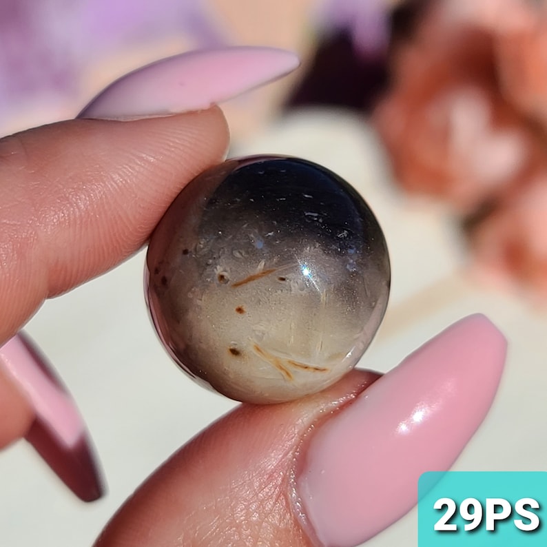 Palm Root Fossil Sphere Choose Your Tiny Crystal Ball for - Etsy