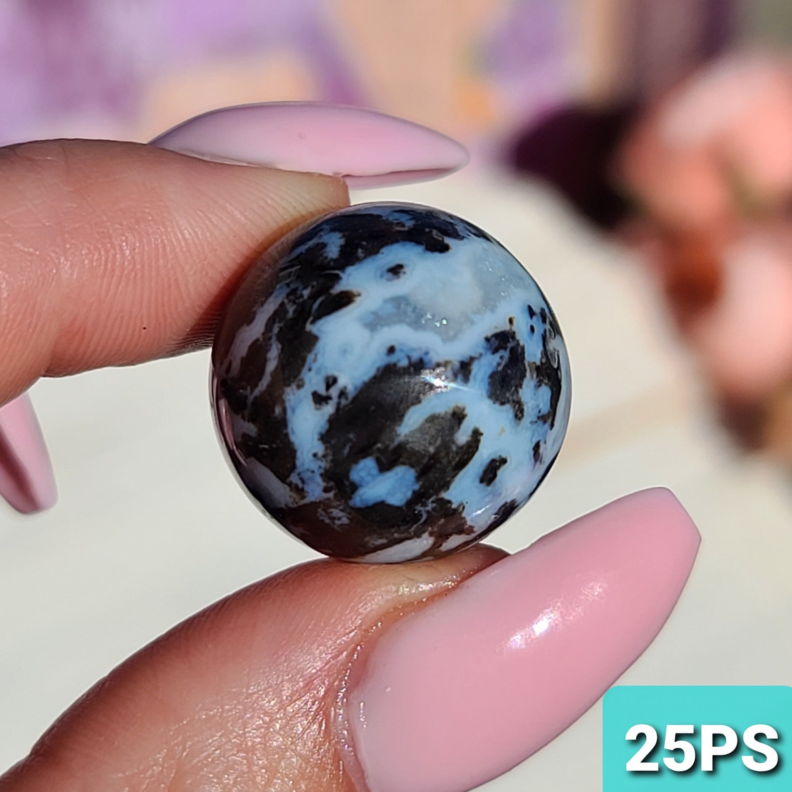 Palm Root Fossil Sphere Choose Your Tiny Crystal Ball for - Etsy