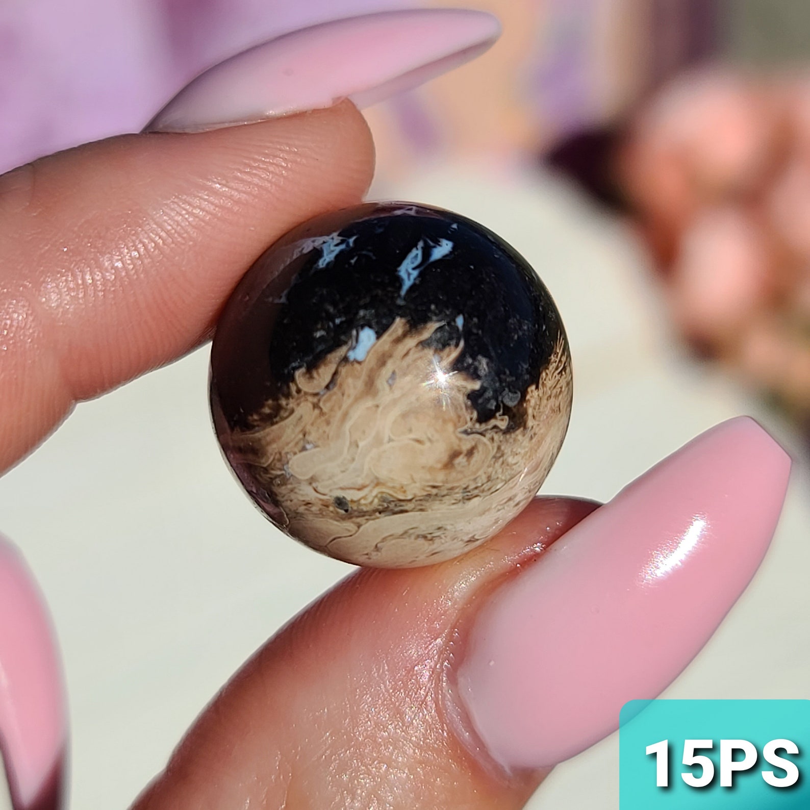 Palm Root Fossil Sphere Choose Your Tiny Crystal Ball for | Etsy