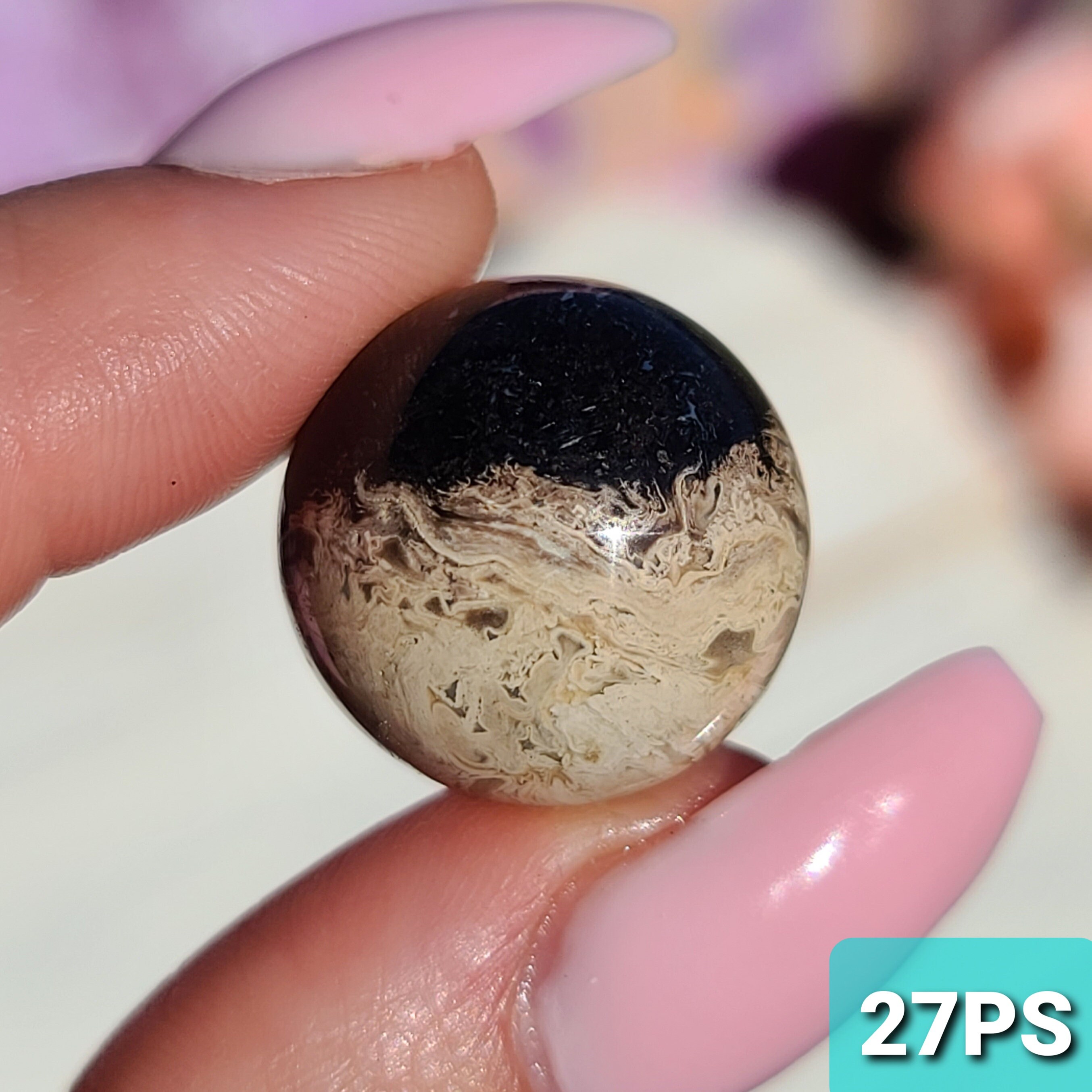 Palm Root Fossil Sphere Choose Your Tiny Crystal Ball for - Etsy